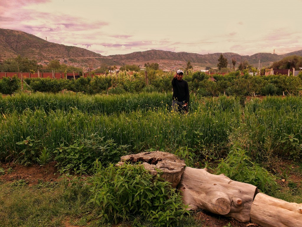 Video Tour: Mano a Mano's Center for Ecological Agriculture in ...