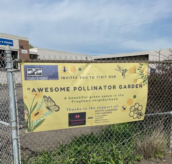 Making Progress on Our Pollinator Garden in St. Paul, Minnesota - Mano ...
